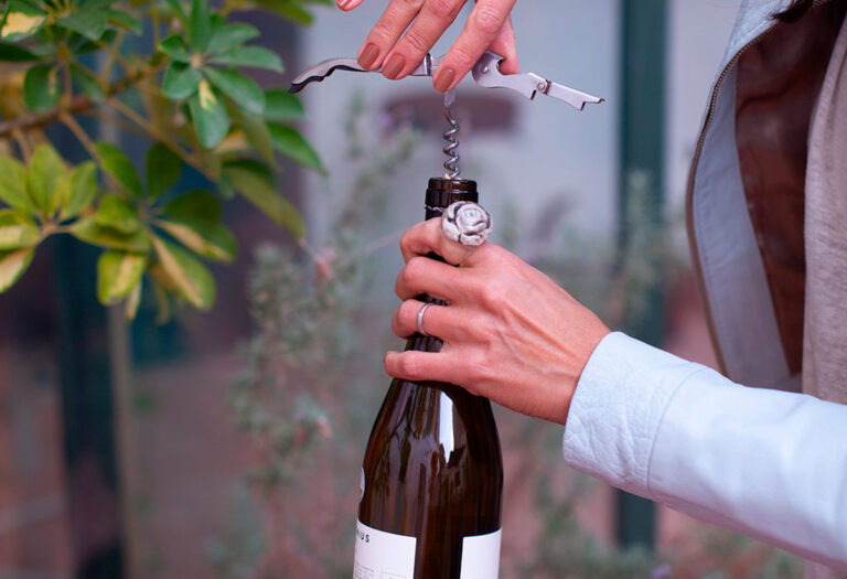 Como abrir vinho com saca rolha? - Melissa